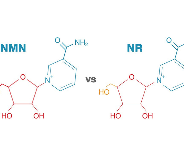 NMN vs. NR: Unraveling the Anti-Aging Potential and Structural Distinc ...
